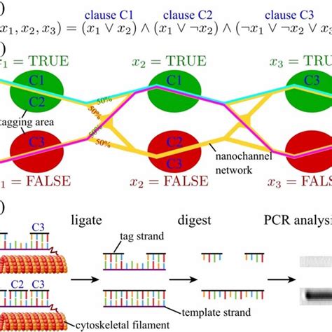 Network Types Versus Run Modes Four Rows With Network Types Are Shown Download Scientific