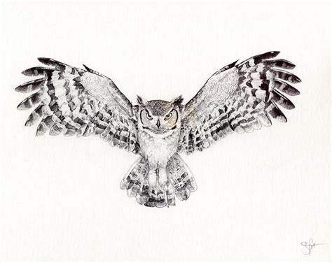 Great Horned Owl Drawing Great Horned Owl Drawings Dekorisori