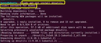 The Dig Command In Linux Practical Examples