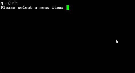Ssh Menu Display Issue