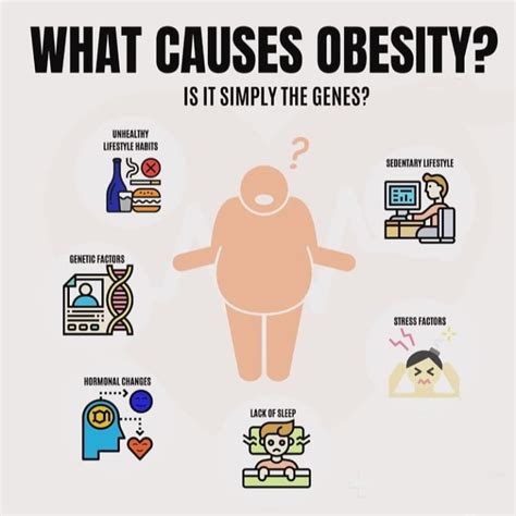Causes Of Obesity