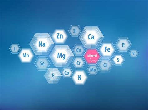 Essential Mineral Elements Unveiling The Building Blocks Of Human Hea