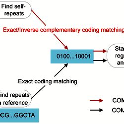Overview For Two Versions Of DNA COMpression Based On Pattern Aware Contextual Modeling