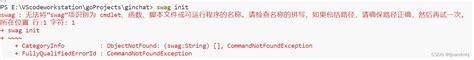 Swag 无法将“swag”项识别为 Cmdlet、函数、脚本文件或可运行程序的名称。swag 无法将“swag”项识别为