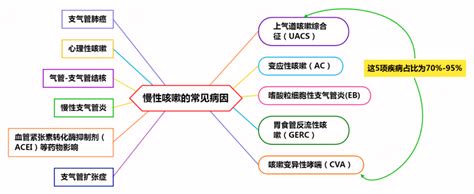 当慢性咳嗽病因不明、迁延不愈，止咳药该如何选择？ 丁香园