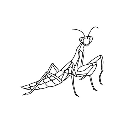 Premium Vector Grasshopper Icon
