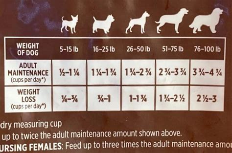 How Much Food To Feed A Dog Whole Dog Journal
