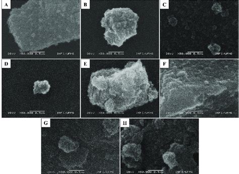 Sem Image Of The Surfaces Of N Fe And N Fe Doped Tio2 Download