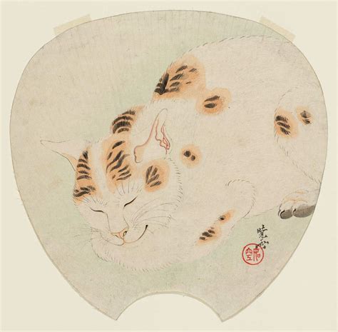 河鍋暁斎 Sleeping Cat ボストン美術館 浮世絵検索