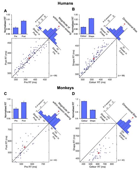 Study Reveals How When And Where Non Invasive Brain Stimulation