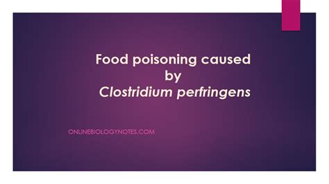 Clostridium Perfringens Food Poisoning