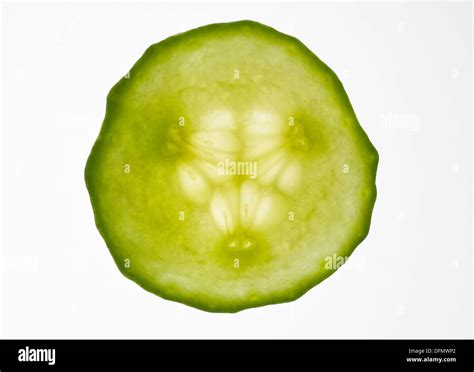 Cucumber Slice Cucumber Slice Hi Res Stock Photography And Images Alamy