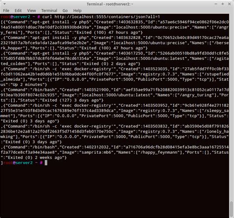 8 Docker Remote Api Csdn博客