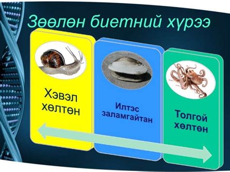 Amitnii Aimag