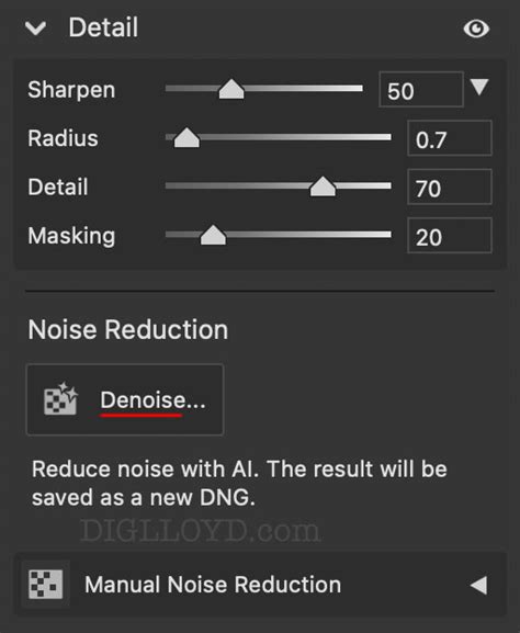 Diglloyd Blog Using Adobe Camera Raw Ai Denoise With Enhance Details