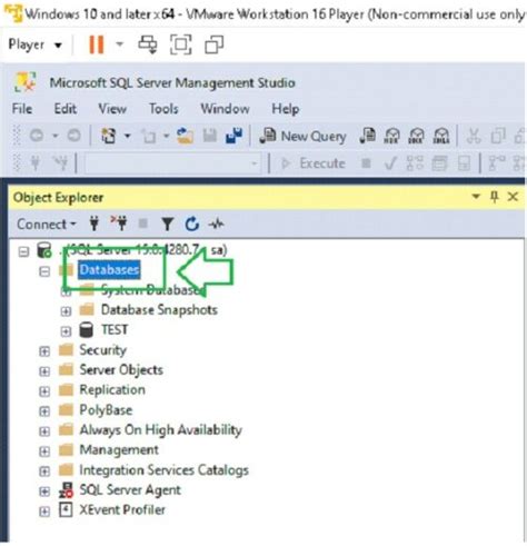 How To Repair Corrupt Ms Sql Database