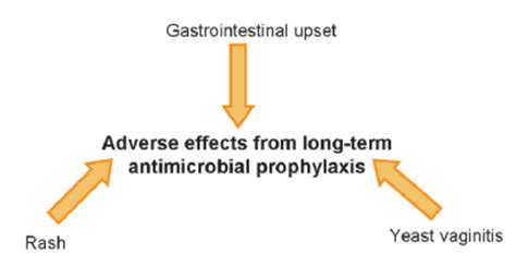 Common Adverse Effects Associated With Long Term Antimicrobial Download Scientific Diagram