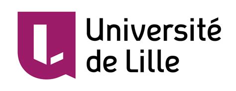 Projet réalisé par Guillaume Dufrêne Lionel Seinturier Julien