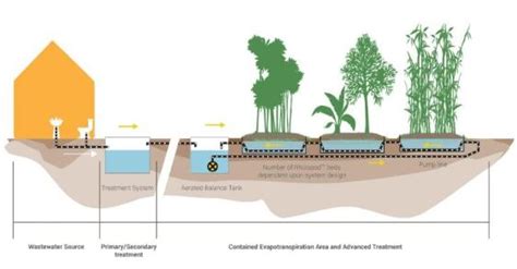 Septic System Errors Harwood Homes