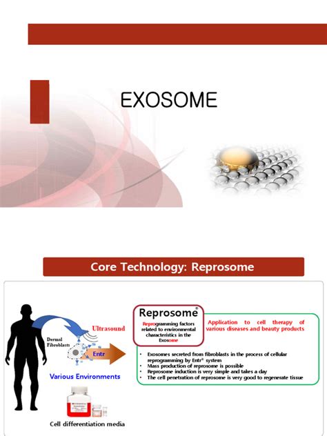 Exosome Presentation Pdf Regeneration Biology Adipose Tissue