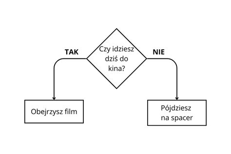 Instrukcje Warunkowe W C Matinf Uk Pl