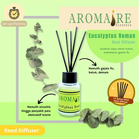 Jual Reed Diffuser Aromaire Essense Tanaman Daun Eucalyptus Roman