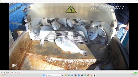 Plastic Recyclable Detection Roboflow Universe