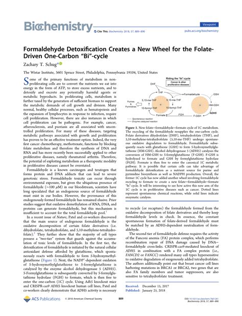 Pdf Formaldehyde Detoxification Creates A New Wheel For The Folate