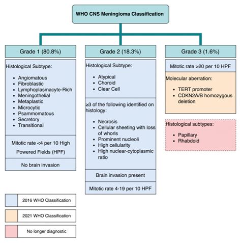 Beyond The Who Classification Of Meningioma Using Molecular