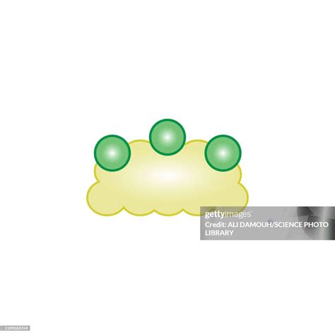 Bile Salt Structure Illustration High Res Vector Graphic Getty Images