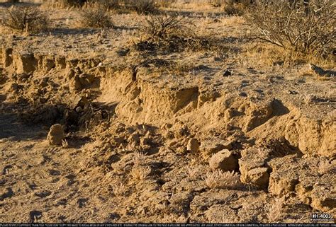 2019 Ridgecrest Earthquake Surface Rupture In California Photos By