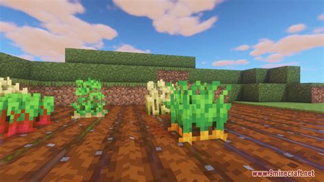 Vanilla Pbr Resource Pack 1192 1182 Texture Pack Mc Modnet