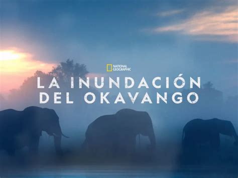 Documentales National Geographic En Disney Plus El Heraldo Austral