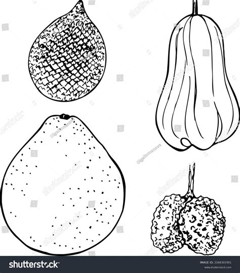 Asian Fruit Black White Vector Set Stock Vector Royalty Free