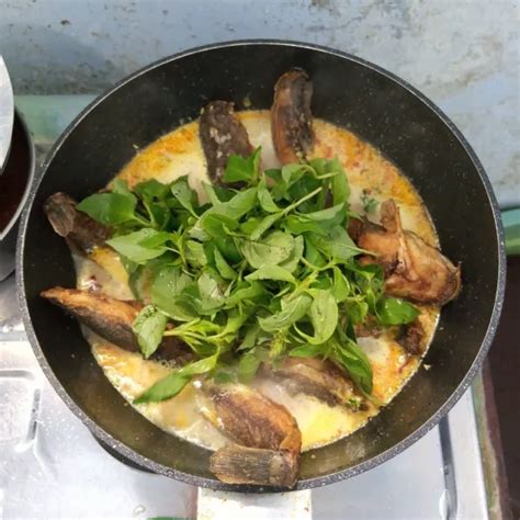 Resep Lele Kuah Santan Kemangi Sederhana Rumahan Di Yummy App