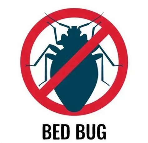 Bed Bug Pest Control Service At ₹ 3sq Ft In Varanasi Id 25489717755