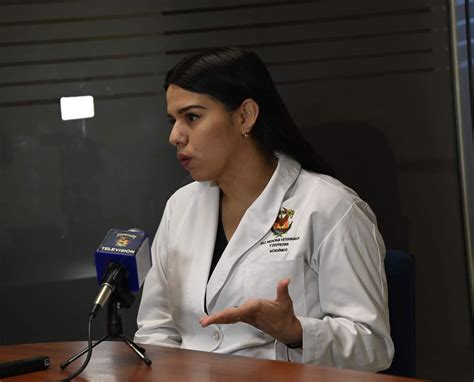 Uso De Pirotecnia Afecta A Perros Y Gatos Estas Son Las Consecuencias