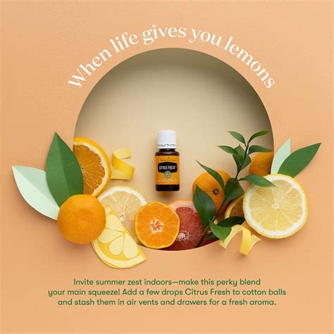 Nebuliser Diffuser Diffuser For Essential Oils With Nebuliser Portable Diffuser Technology