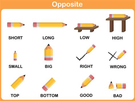 15 برگه رایگان انگلیسی برای آموزش و تمرین کودکان ایستگاه کودک