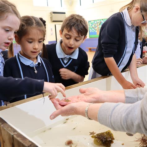 Jersey Marine Conservation Marine Conservation Plastics Climate