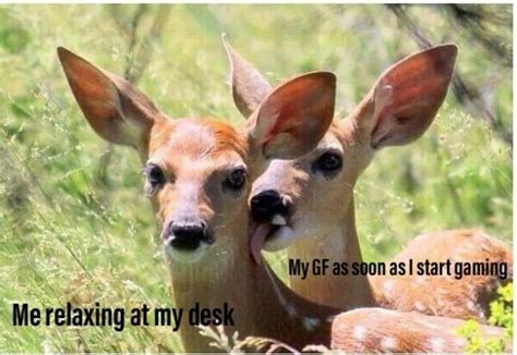 32 Dirty Memes To Send Your Mind Into The Gutter Gallery Ebaums World