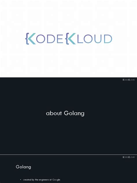 Go Lang Pdf Data Type Boolean Data Type