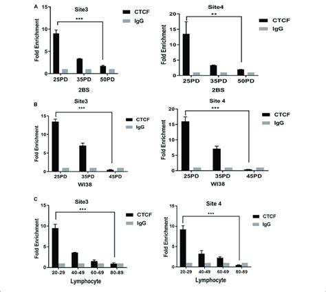 The Binding Level Of Ccctc Binding Factor Ctcf In The Dna
