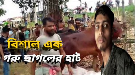 বিশাল এক গরু ছাগলের হাট সবাই ভিডিওটা দেখেন Emran Vlog ️ ️🇧🇩 Youtube