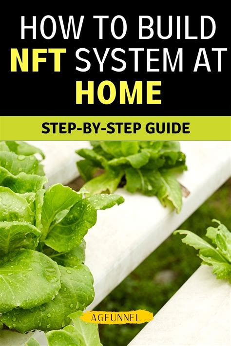Step By Step Guide To Build Your Nft System At Home