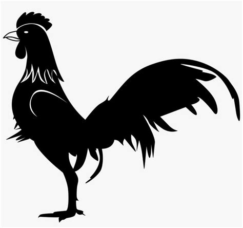 Vector Ayam Png 55 Koleksi Gambar