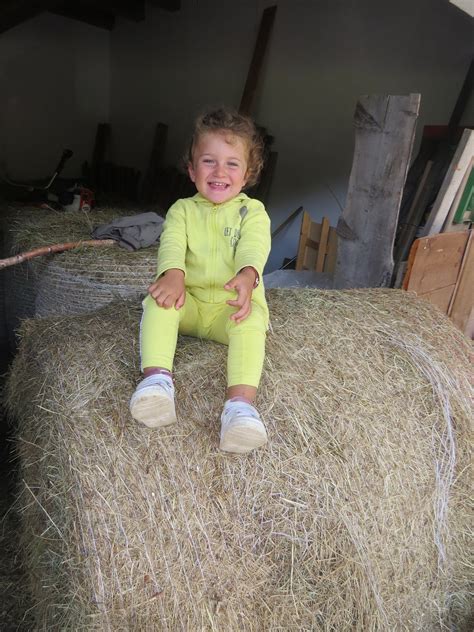 微笑 包 黄色 Pixabay上的免费照片 Pixabay