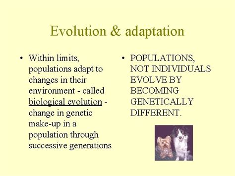 Evolution Biodiversity Chapter 5 Origins Of Life Chemical