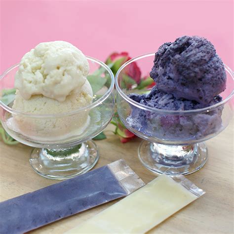 봉봉맘 얼려먹는 아이스크림4종 고구마블루베리당근딸기 100g 강아지여름보양식 강아지아이스크림 강아지여름간식 페오펫몰