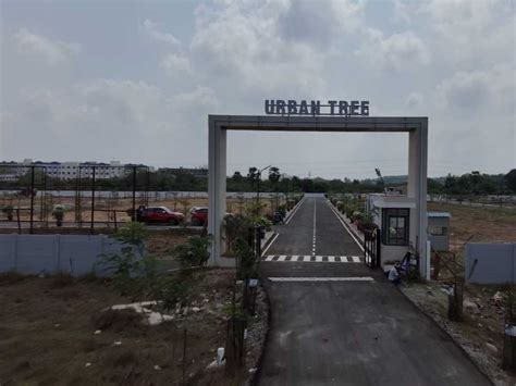 Urban Tree Crystal Crown In Kundrathur Chennai Find Price Gallery